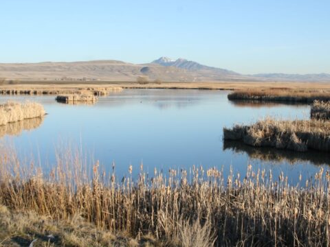 Experiences in the Bear River Heritage Area