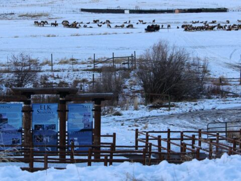 Experiences in the Bear River Heritage Area