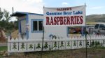 Bear Lake Raspberry Days - Bear River Heritage Area