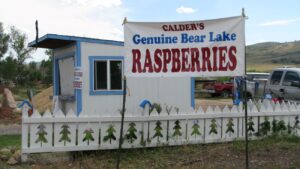 Bear Lake Raspberry Days - Bear River Heritage Area